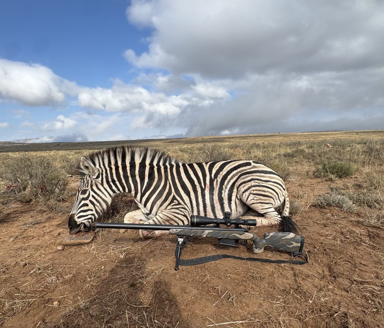 MISB Hunter 7 RM Zebra | SWS Rifles